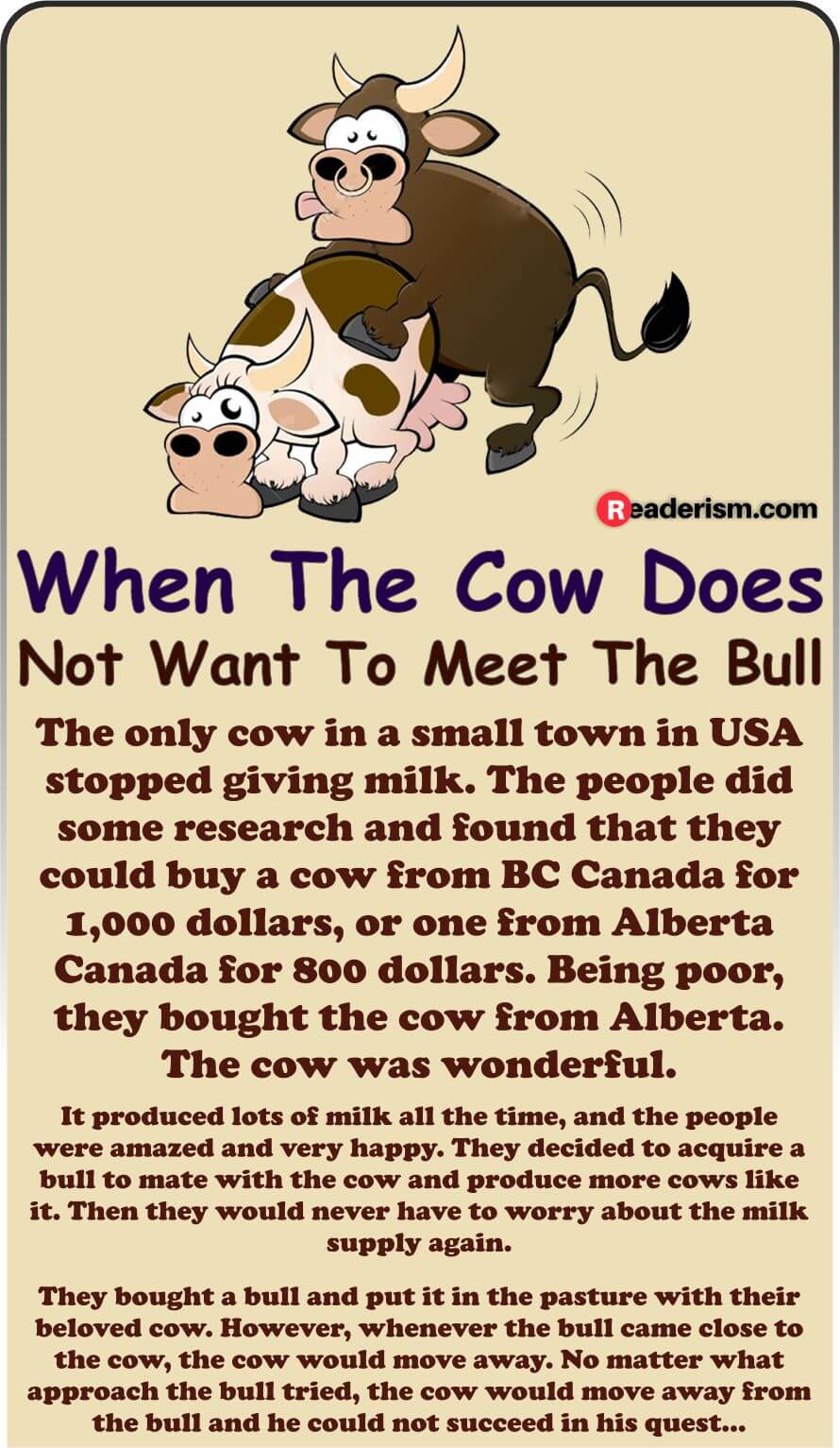 Story Of Cow And Bull Meeeting Readerism Com story-of-cow-and-bull-meeeting-readerism-com